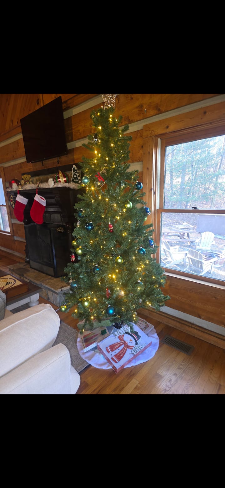 Private Mtn Cabin|frisbee Golf|central Location - Beech Mountain, NC