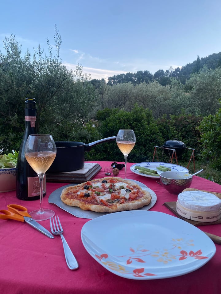 Villa Familiale Au Calme - Solliès-Pont