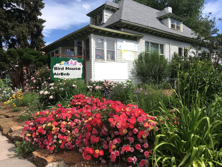 The Bird House * New 2 Bd * Great Location! - Manitou Springs, CO