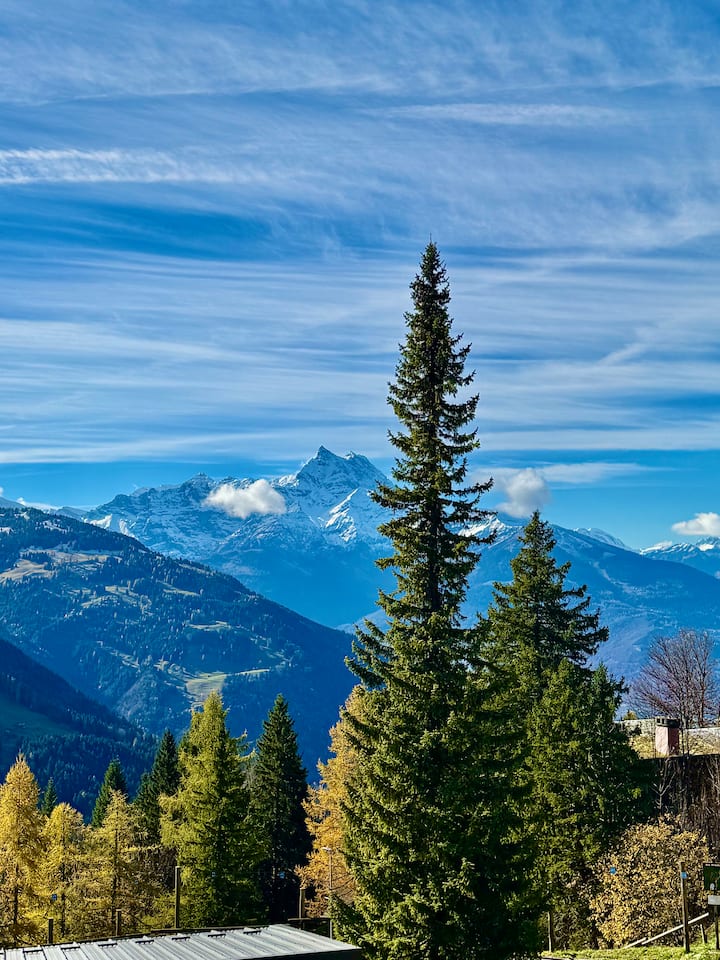 10.28 Jolie Appartement / 4 Pax - Les Diablerets