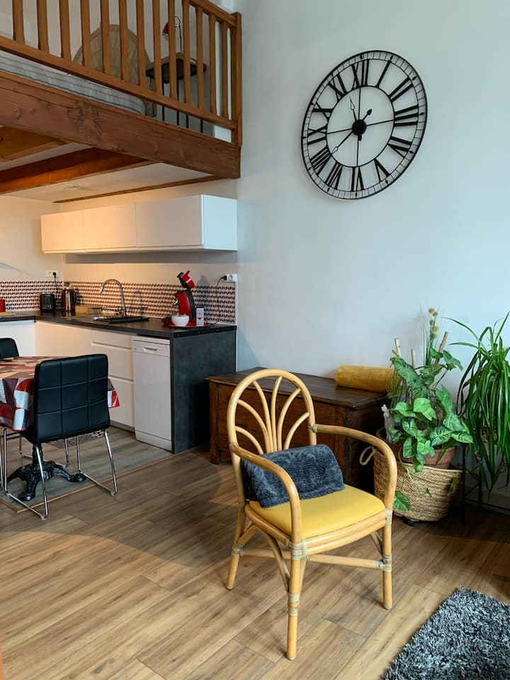 Appartement Hyper Centre - Limoges