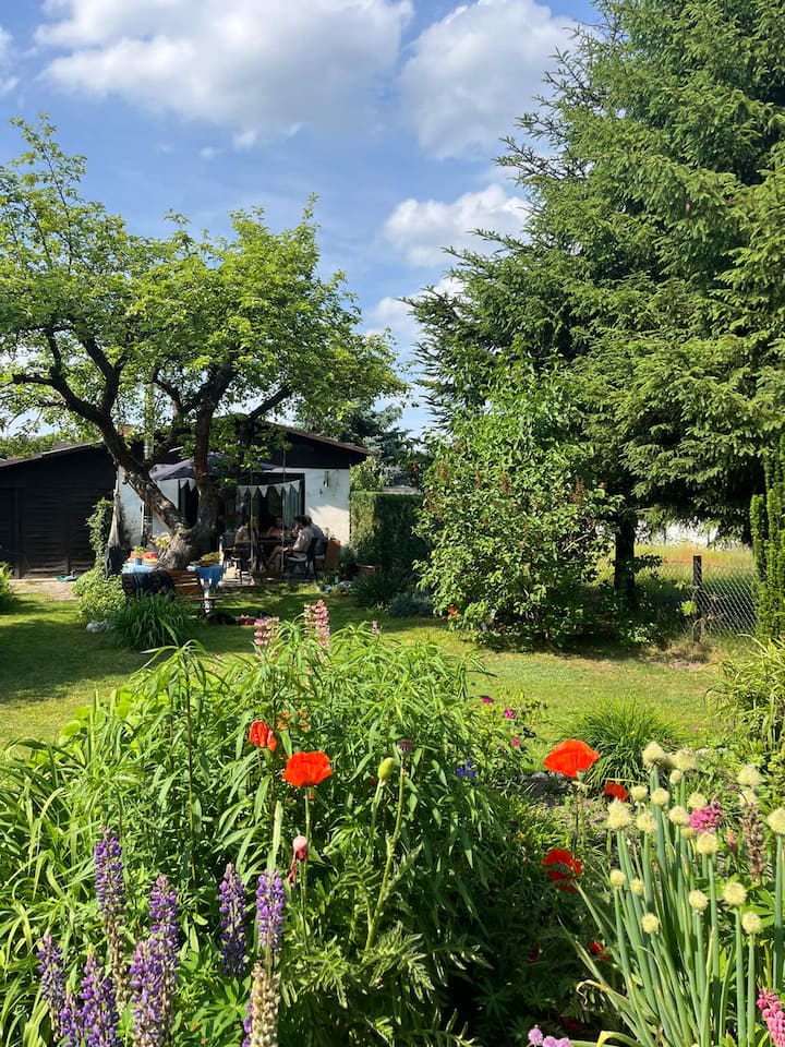Ferienhaus Im Grünen Vor Den Toren Von Berlin - Bestensee