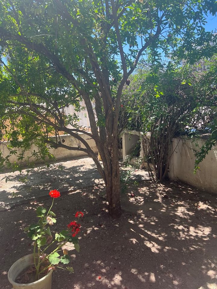Maison Roman A - Tunis