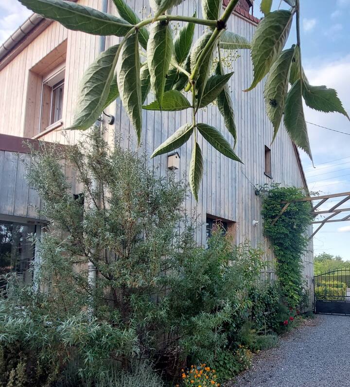 Studio 40 M² Proche Centre-ville (Et Au Vert) - Saint-Amand-les-Eaux