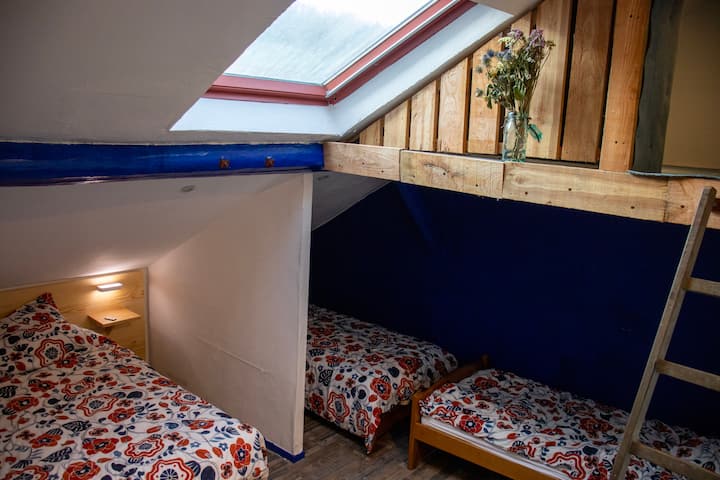 Chambre Entre Ville Et Campagne - Épinal