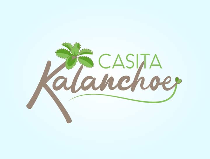 Casitakalanchoe @ El Combate - プエルトリコ