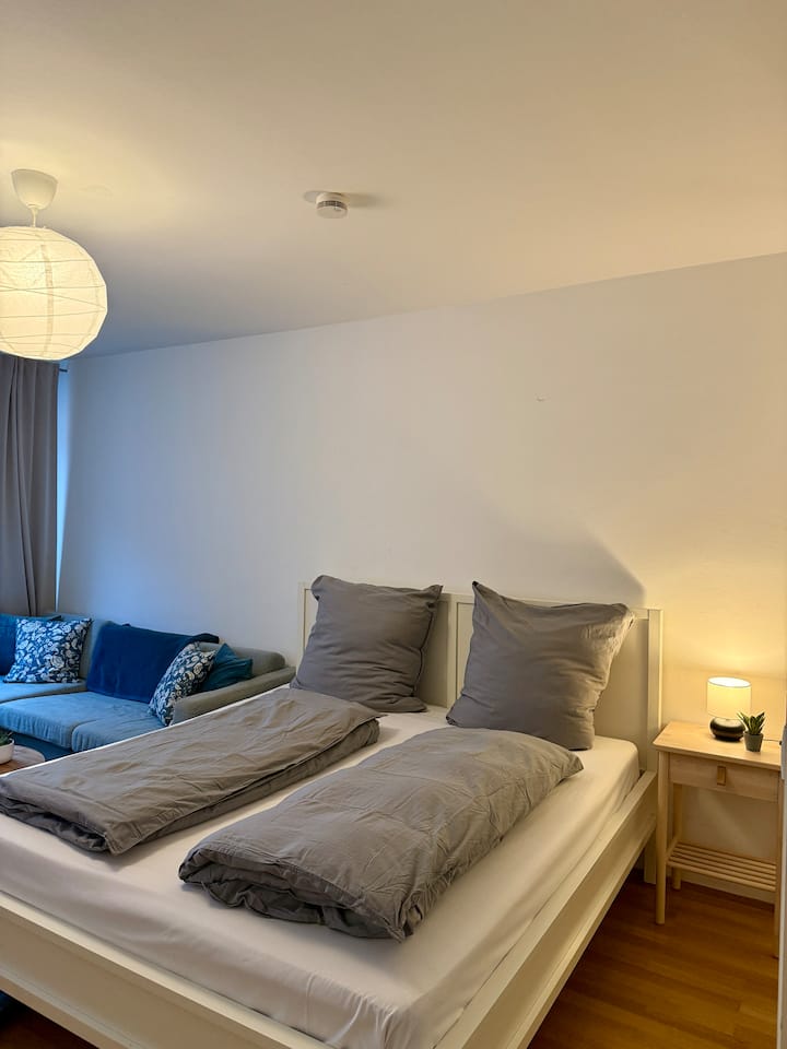 Wohnung Im Herzen Von München - Munich