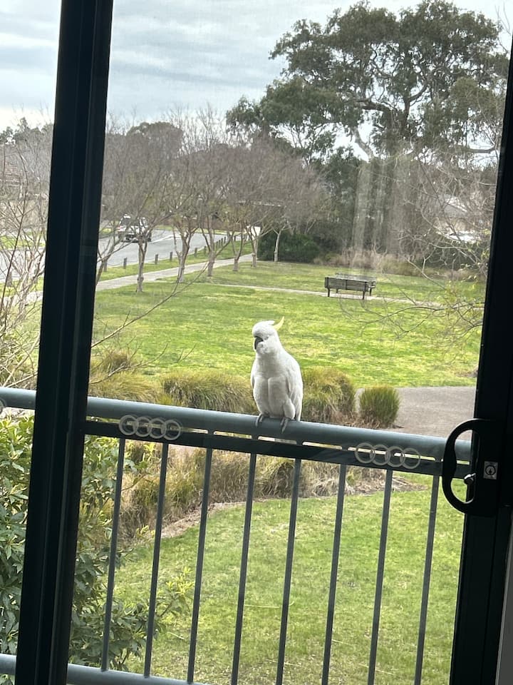 Gorgeous Family Home In Mernda - Kinglake National Park