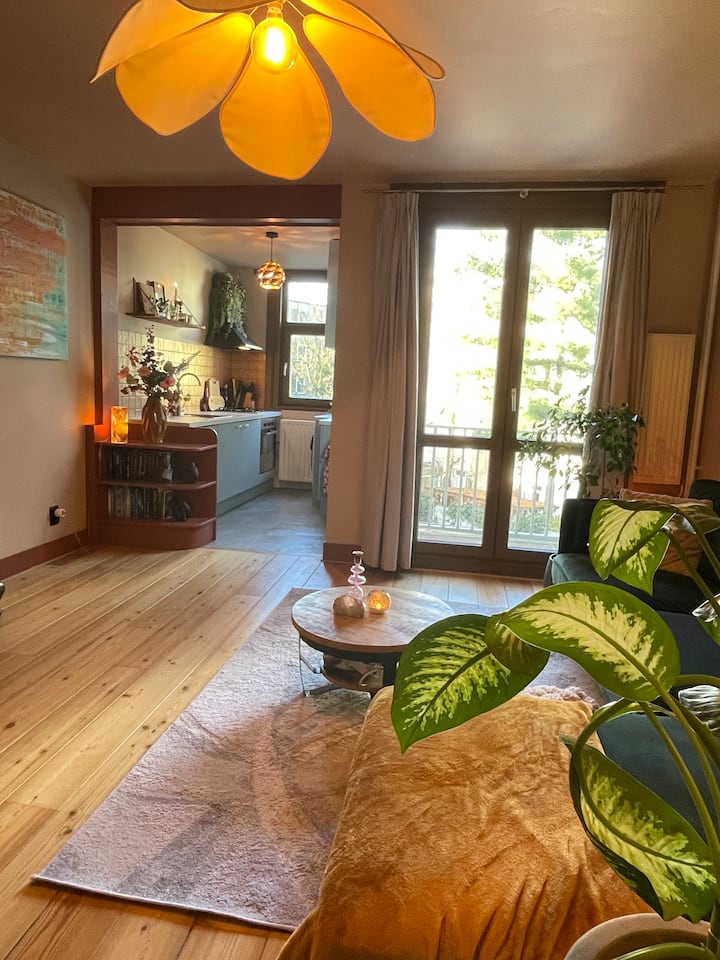 Sunny Apartment With Unique Touches - Amsterdam