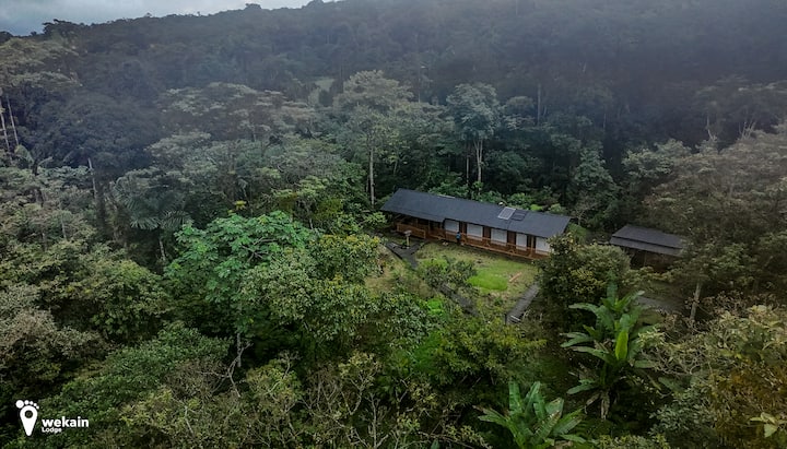 La Selva, El Nuevo Lujo 
Macas (Wekain Lodge) - Morona-Santiago