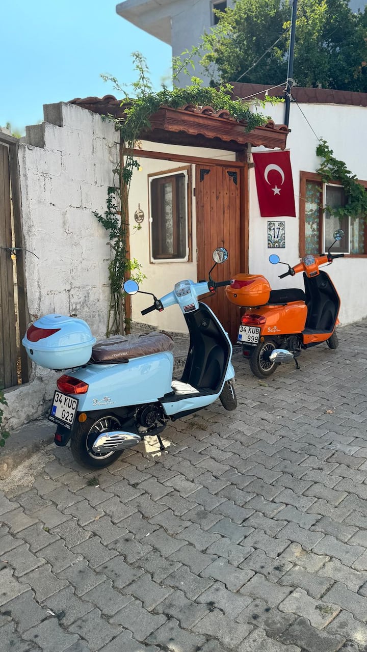 Müstakil Bahçeli 1+1 (Zeytin) - Geyikli
