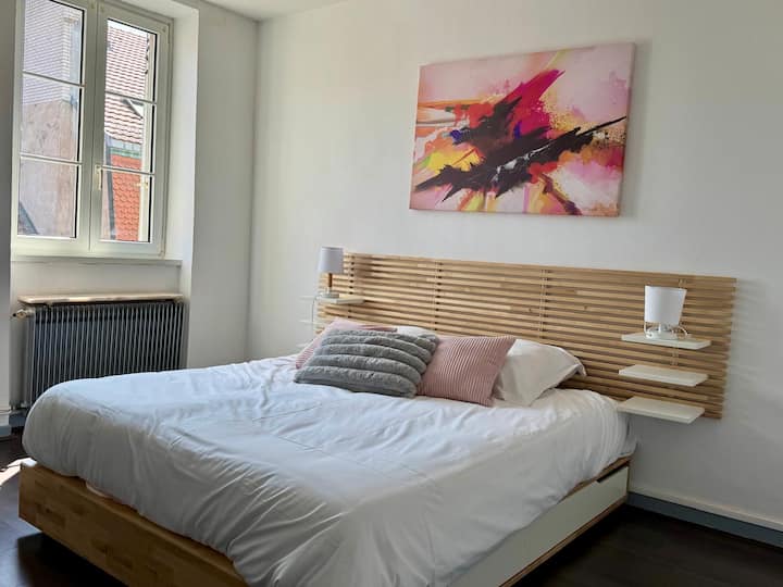 Appart 2 Chambres Avec Vue Lion - Belfort
