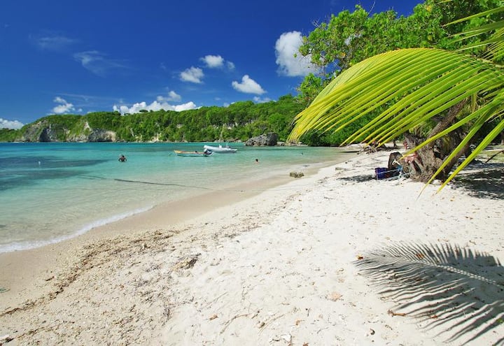 Kréyol Chic, ÉLégance Et Charme Créole Authentique - Guadeloupe