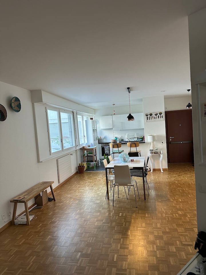 Fantastic Apartment, By The Lake - Genève