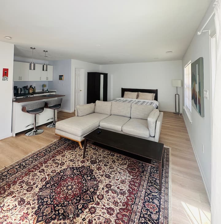 Private Studio - Near Dc/free Parking - Burke, VA