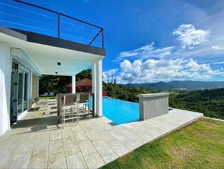 Modern Country House With Heated Private Pool - Cayey