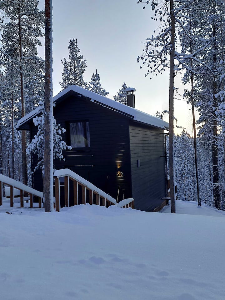 Owl's Nest Chalet - Inari