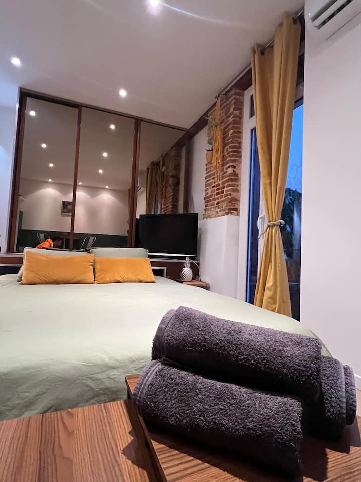 Charmant Studio Toulousain Avec Terrasse - Toulouse