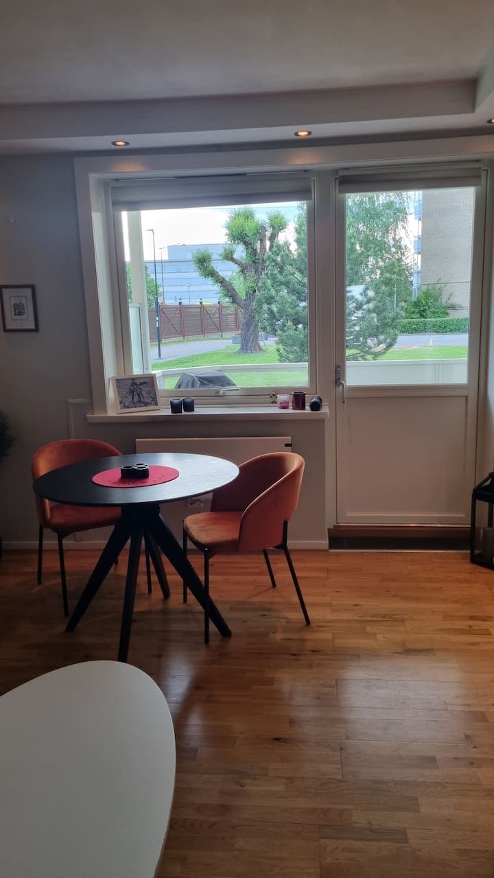 2-roms Leilighet - Oslo