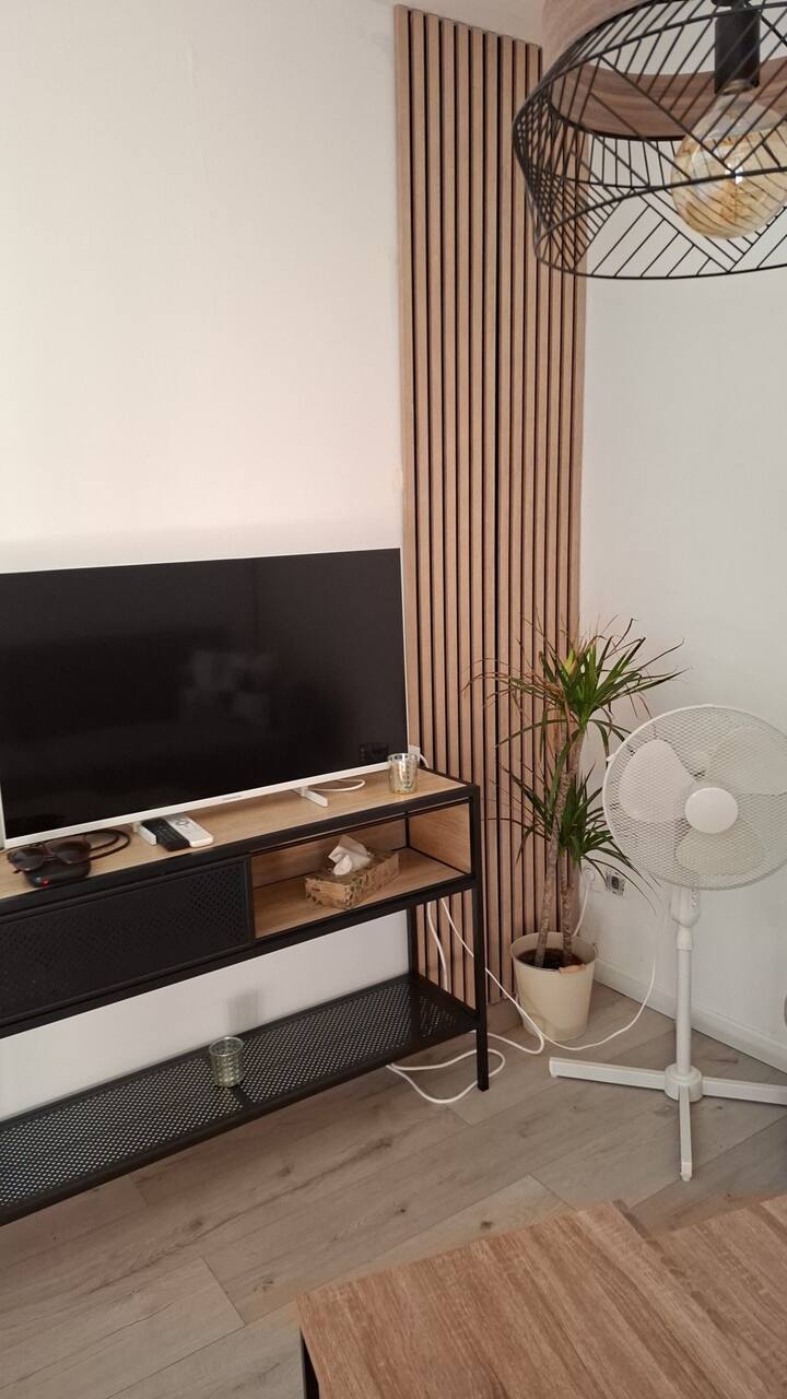 Appartement T1 Bis 7 Minutes Waligator. - Agen