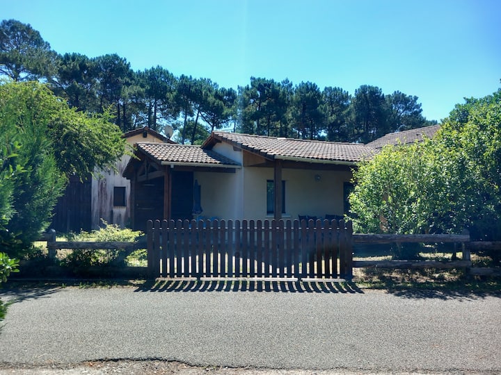 Ma Maisonnette - Gujan-Mestras