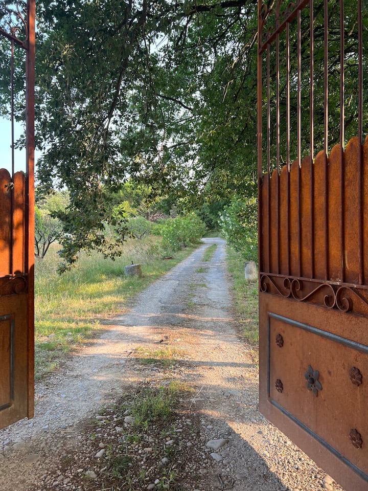 Chambre Avec Sdb Attenante - Viviers