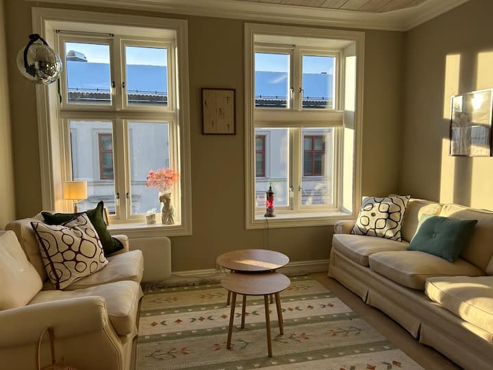 Sentral Oslo-perle - Oslo