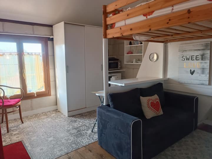 T1 Cosy Au Calme, Centre De Saumur - Saumur