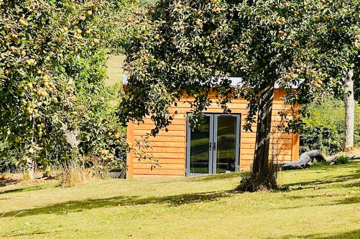 Cosy Cabin Nestled In An Orchard In Rural Devon - Crediton