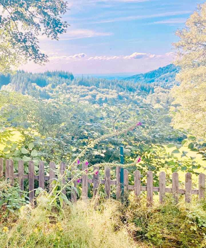 La Maison Des Artistes En Forêt - Ambert