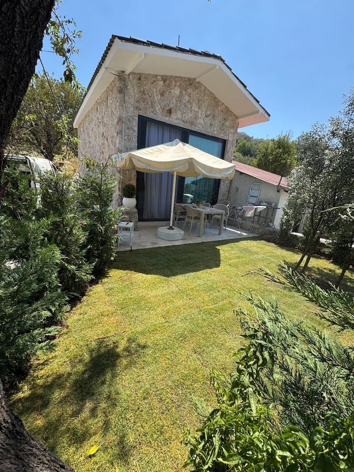 Deniz Kabuğu Selimiye - Selimiye