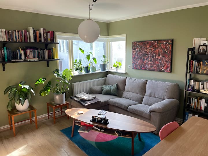 Cozy Downtown Home - Reykjavík