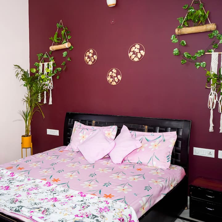 The Cozy Den | Near Birla Mandir - Jaipur