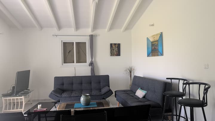 ÉVasion Tropicale-confort Sérénité Aux Antilles - Saint-François