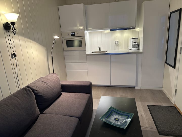 Studio Sentralt - Stor Terrasse. - Ålesund