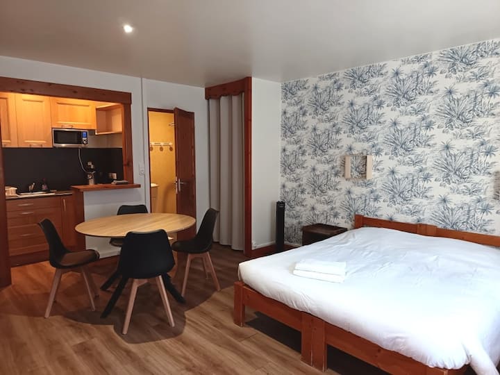 Grand Studio En Montagne - Le Mourtis