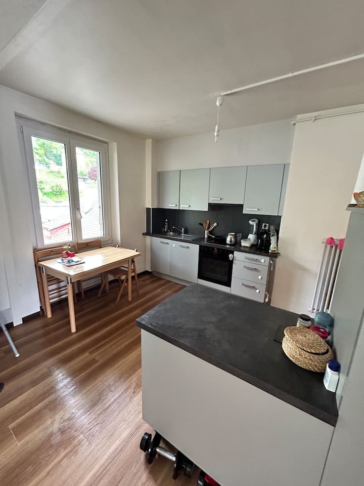 Bel Appartement En Suisse - Villers-le-Lac