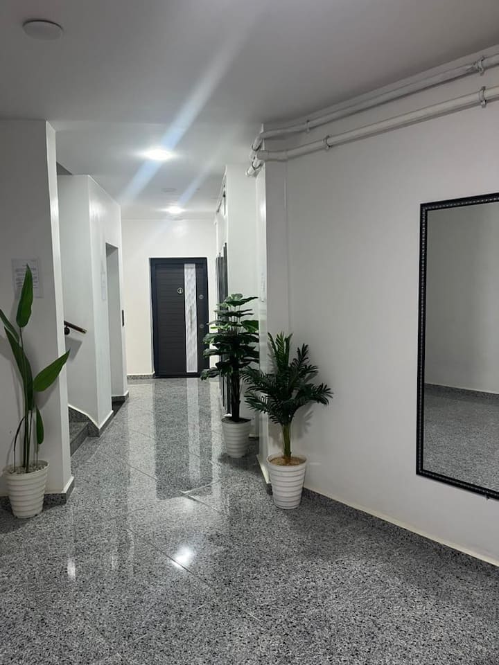 Bel F2 En Open Space Meublé
Appartement F2 Meublé - Algiers