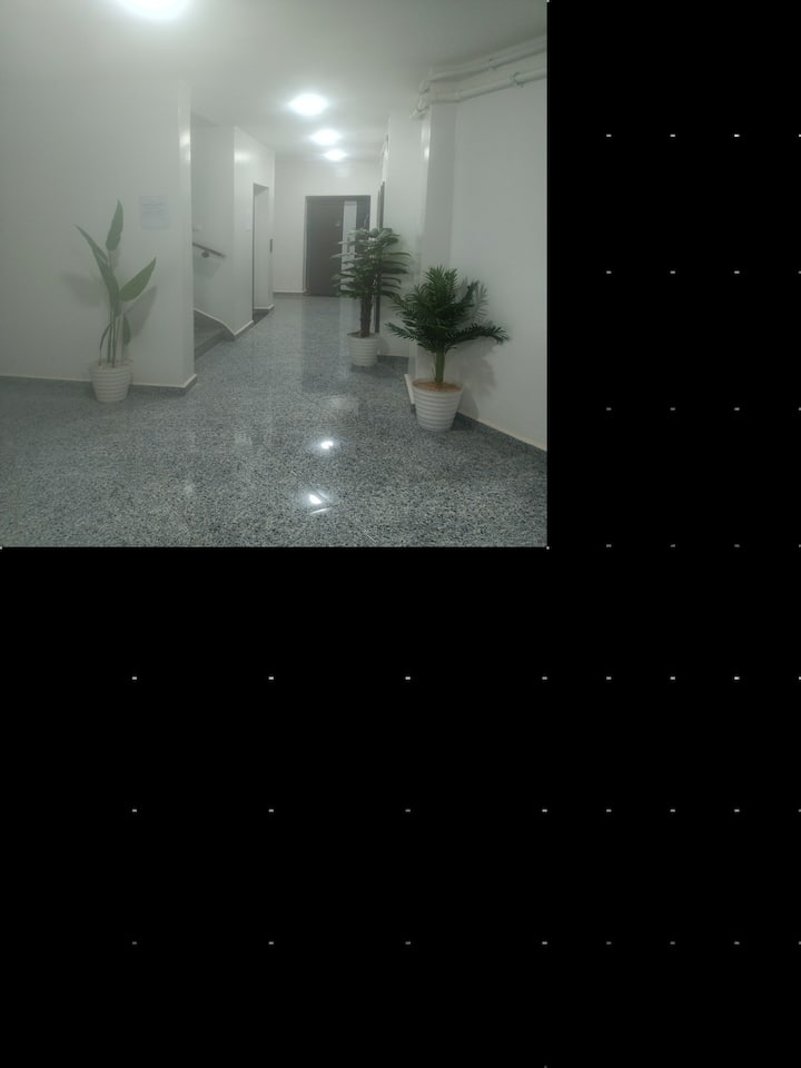 Bel 
Appartement F2 Meublé - Algiers