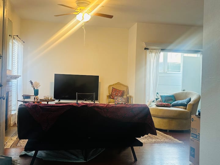 In The Heart Of Tmc - Houston, TX
