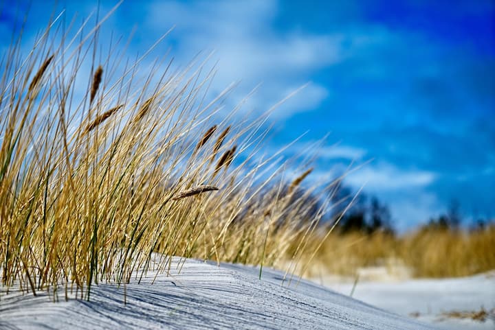 Ruhig Gelegenes Ferienhaus In Strandnähe - Zierow