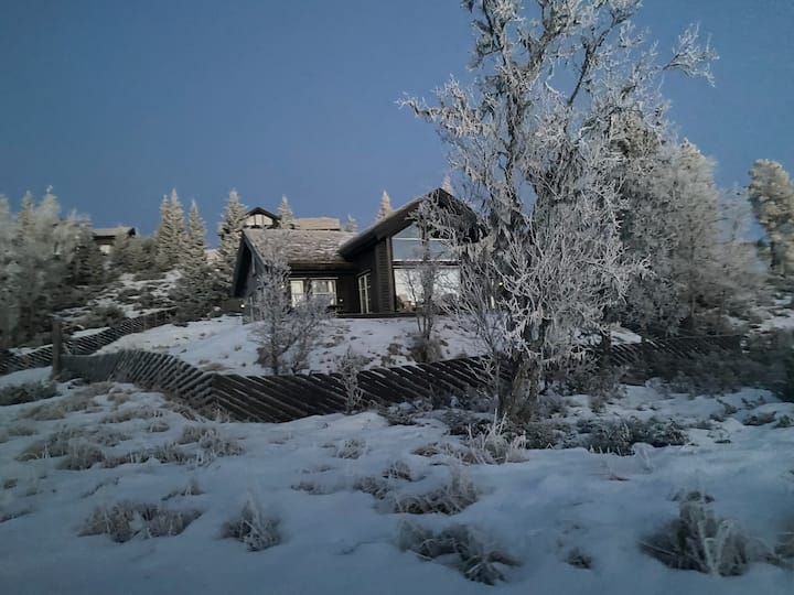 Finn Roen I Nydelig Fjellnatur - Norway