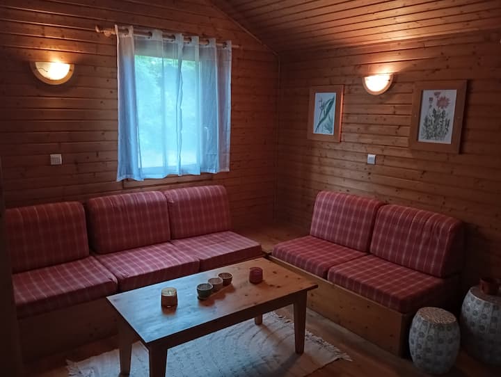 Chalet - Clairvaux-les-Lacs