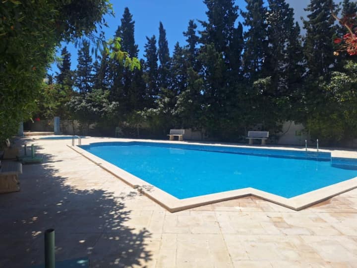 Le Coup De Cœur Des Voyageurs - Hammamet