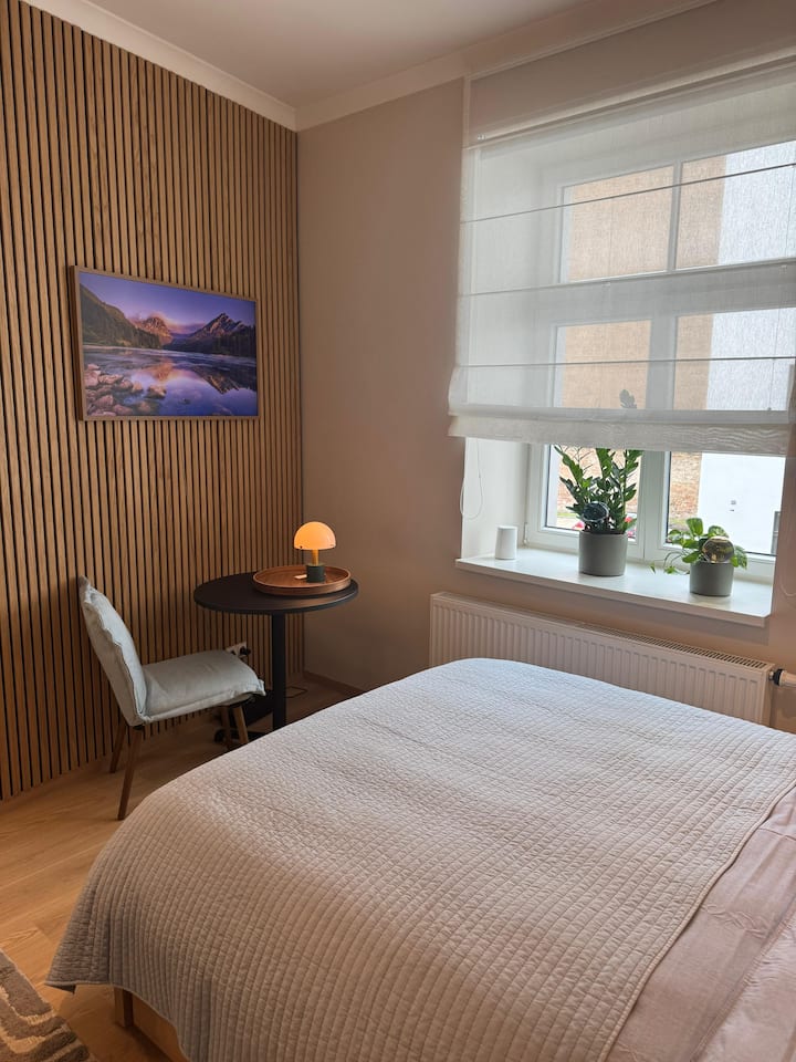 B91 Apartment In Riga Center. - Riga