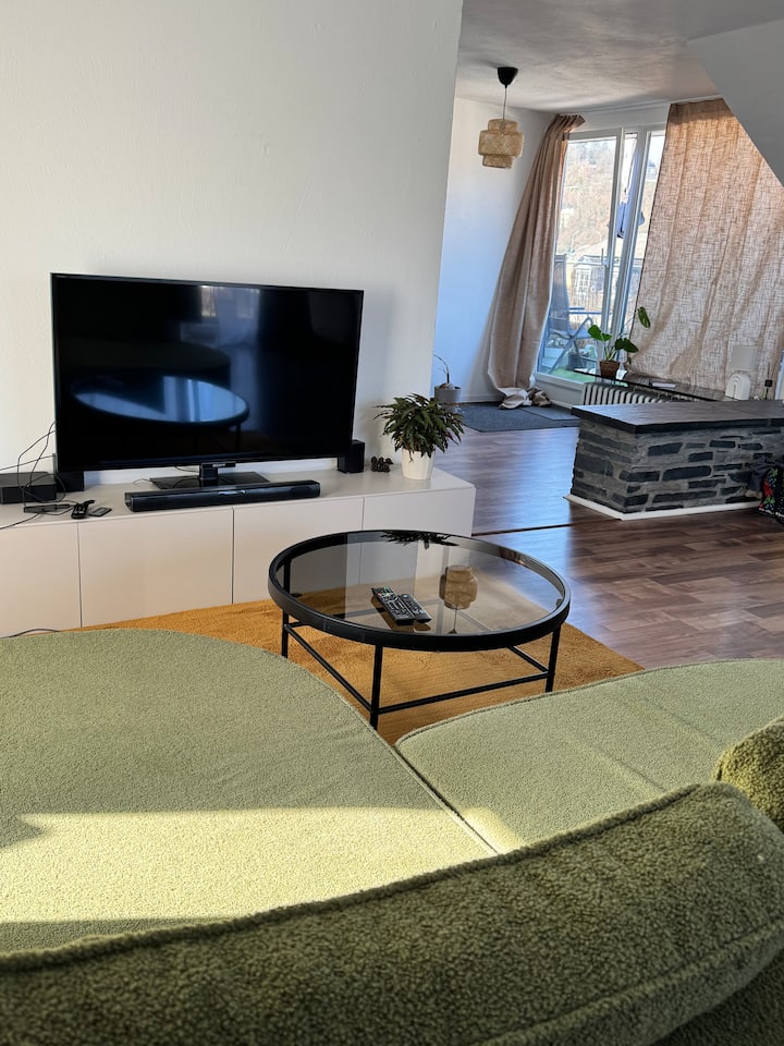 Schöne Wohnung Nahe Dem Mosel Ufer - Untermiete - Trier