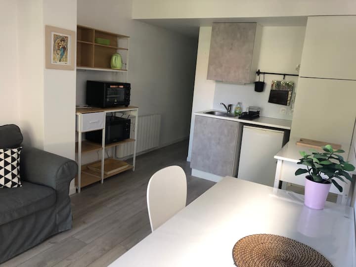 Studio Meublé De 27m² Dans Villa - Seyssins