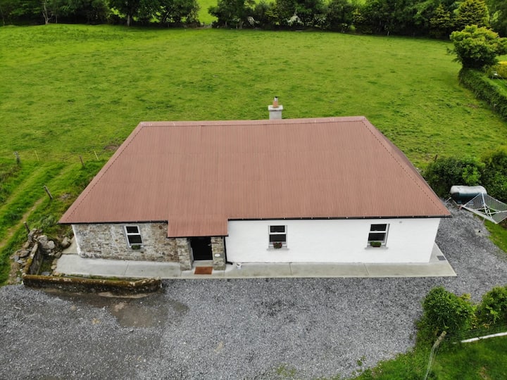 "The Old House" - Clonmel