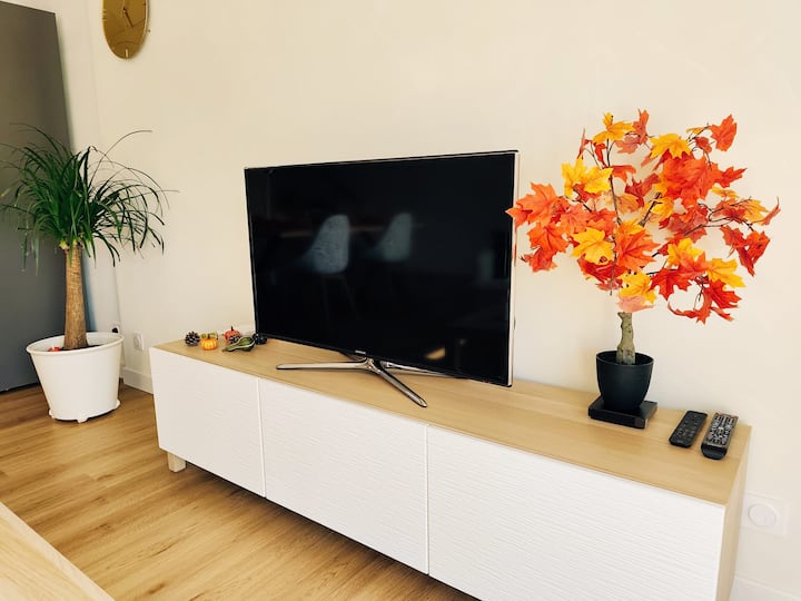 Maison Avec Jardin & 2 Chambres - Bourgoin-Jallieu