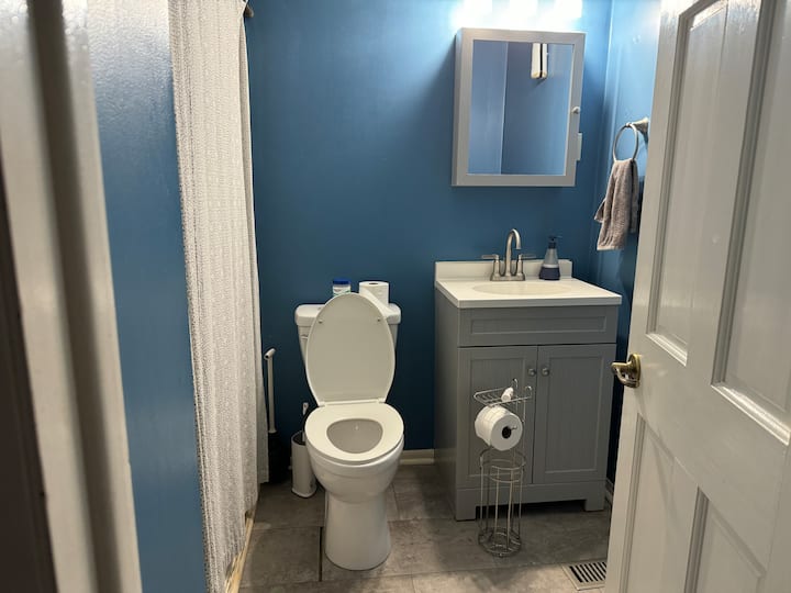 Spacious Room In Shared Home - Indianapolis, IN